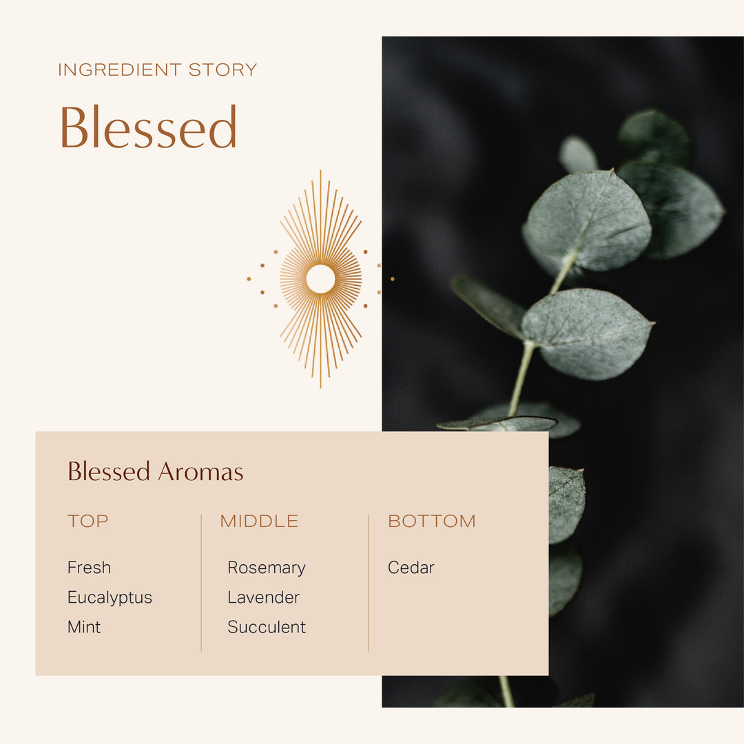 Blessed: Coconut Soy Wax Candle – Satya + Sage